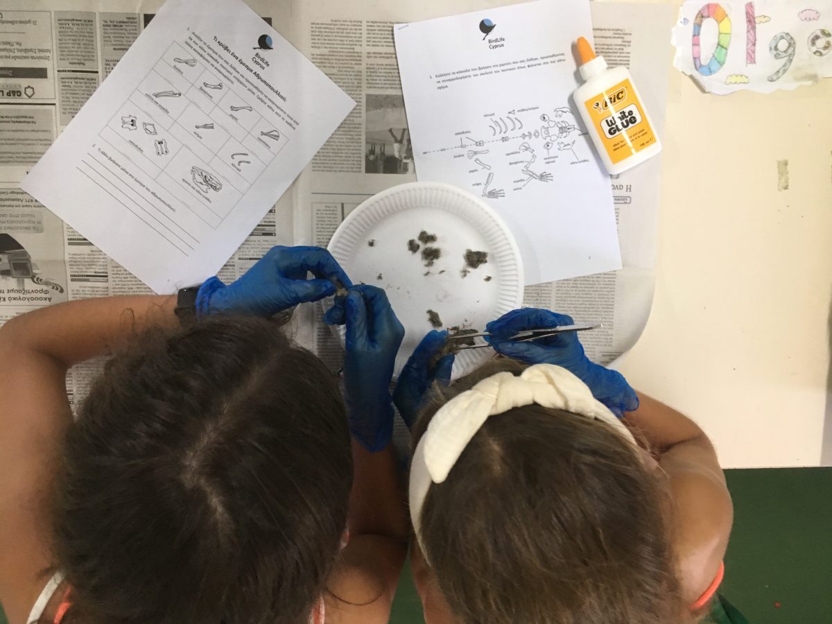 09:00 – 17:00 | BirdLife Cyprus - The Cyprus Institute sCYence Fair